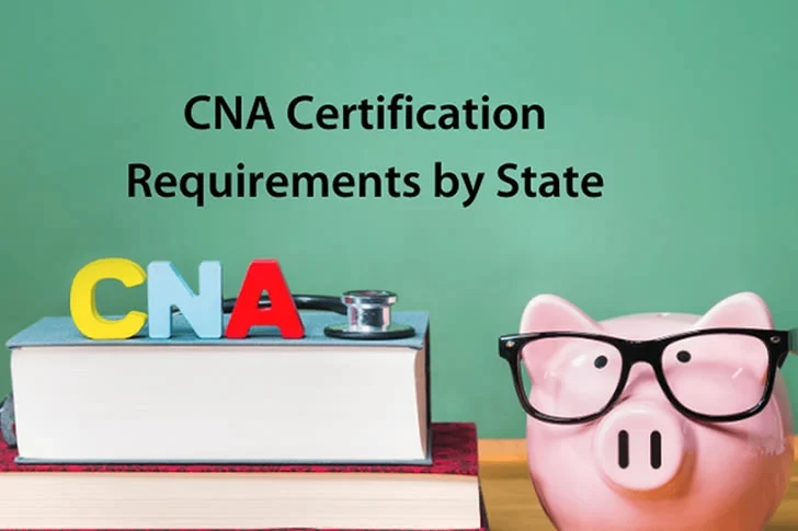 Tips for Choosing Best Online CNA Programs | Greyseek